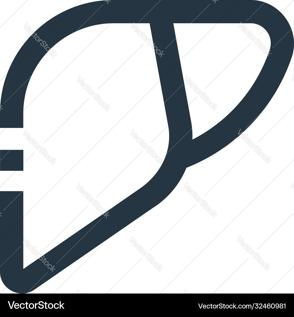 Liver icon isolated on white background outline Vector Image