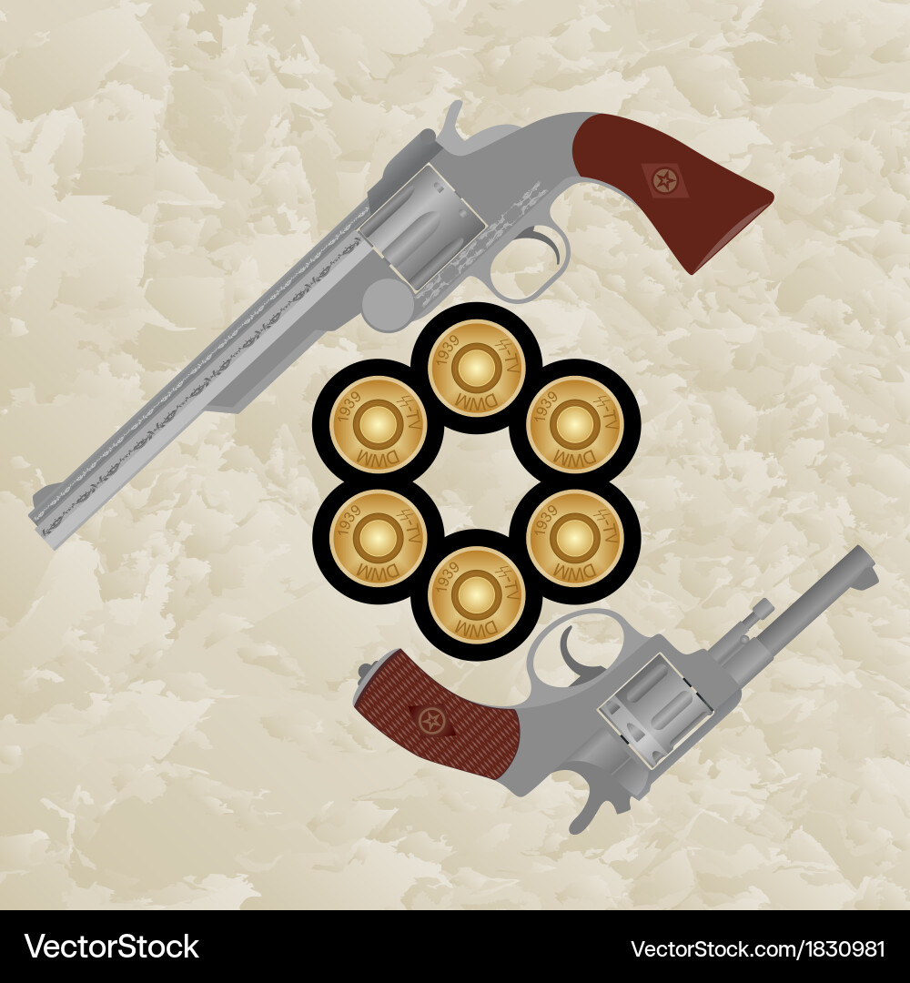 Revolvers and revolver ammunition Royalty Free Vector Image