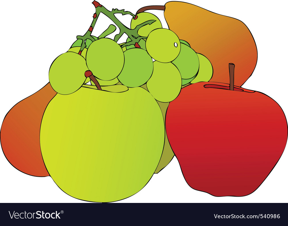 Composition fruitful Royalty Free Vector Image