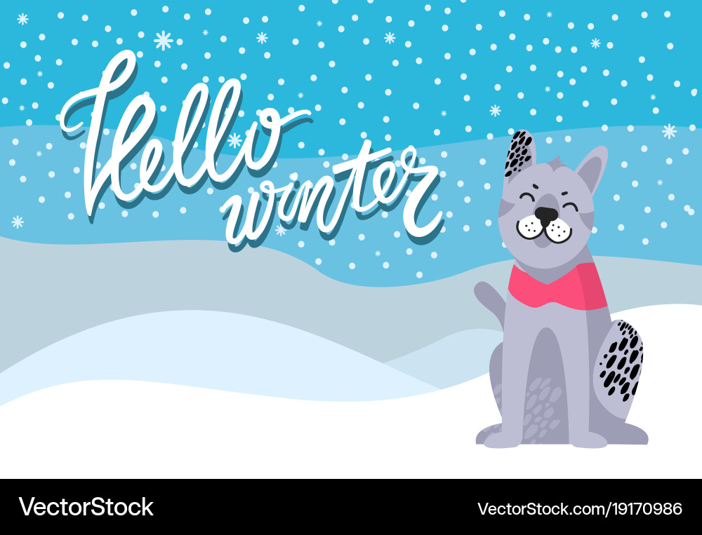 Hello winter poster with spotted grey dog collar Vector Image