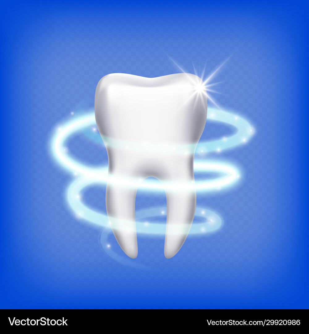 Realistic tooth isolated shining 3d teeth dental Vector Image