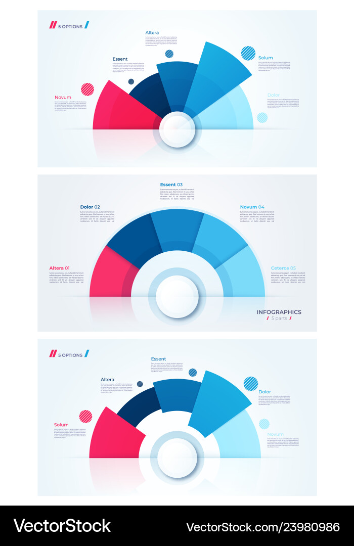 Set of stylish pie chart circle infographic Vector Image