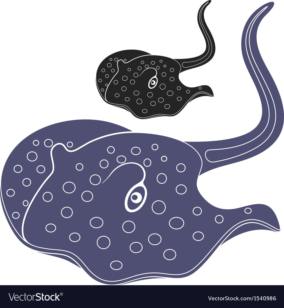 Stingray Royalty Free Vector Image - VectorStock