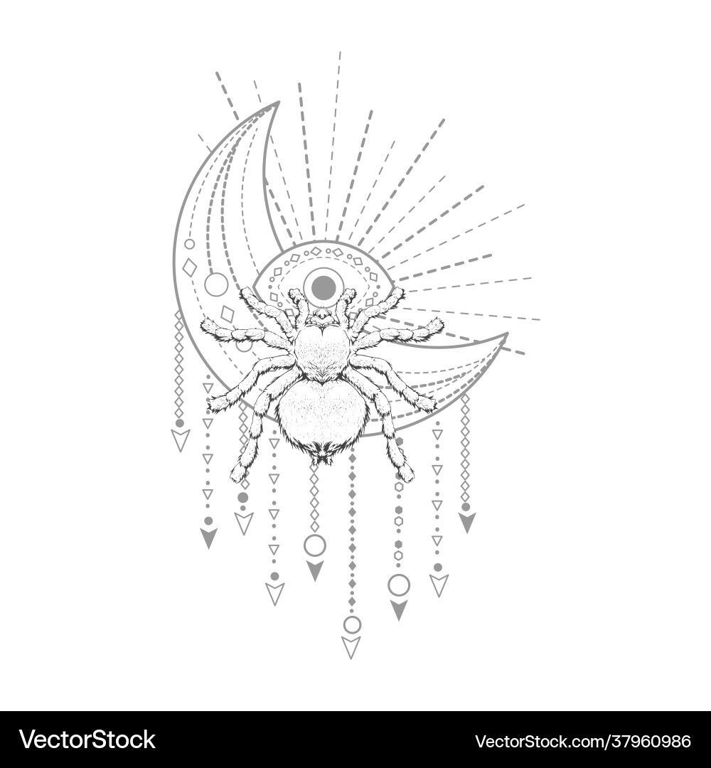 With hand drawn spider and sacred geometric Vector Image