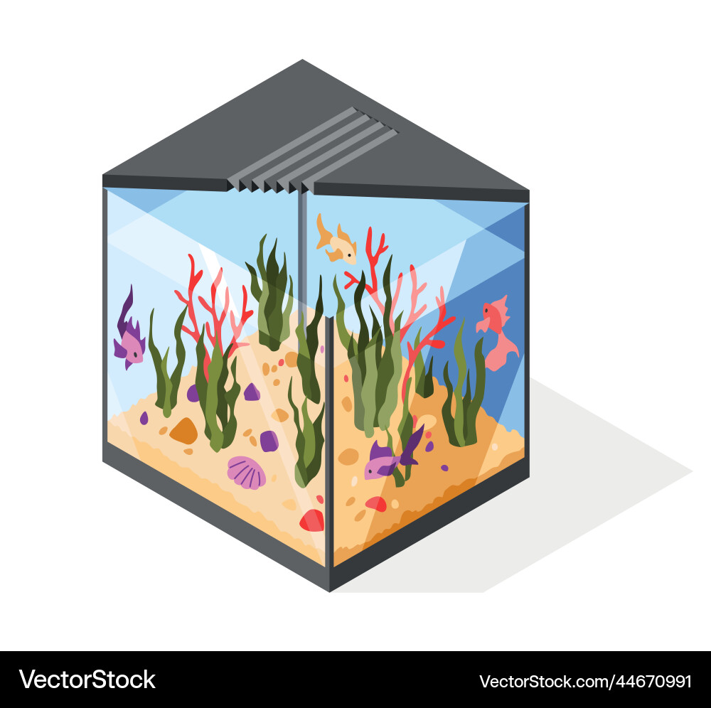 Isometric aquarium in minimalistic style Vector Image