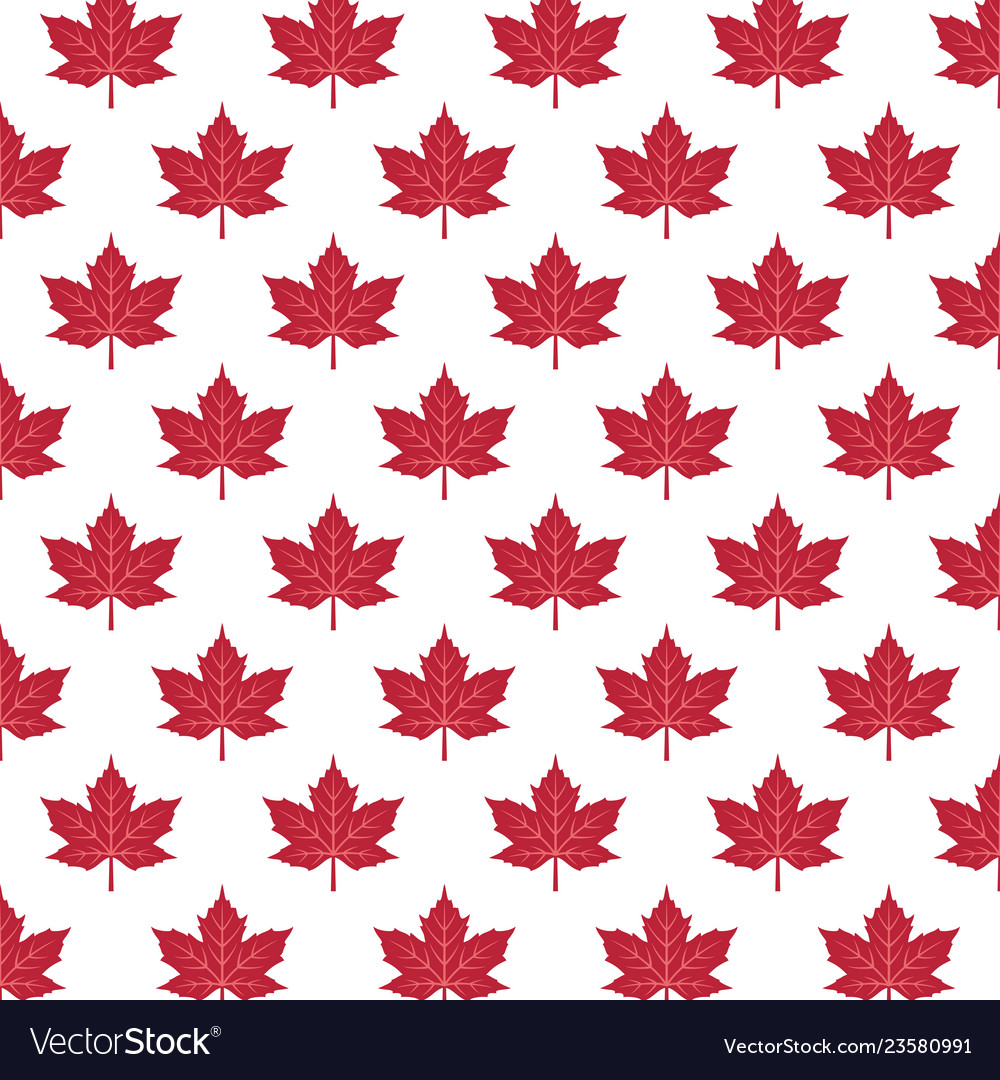 Pattern with red maple leaves Royalty Free Vector Image