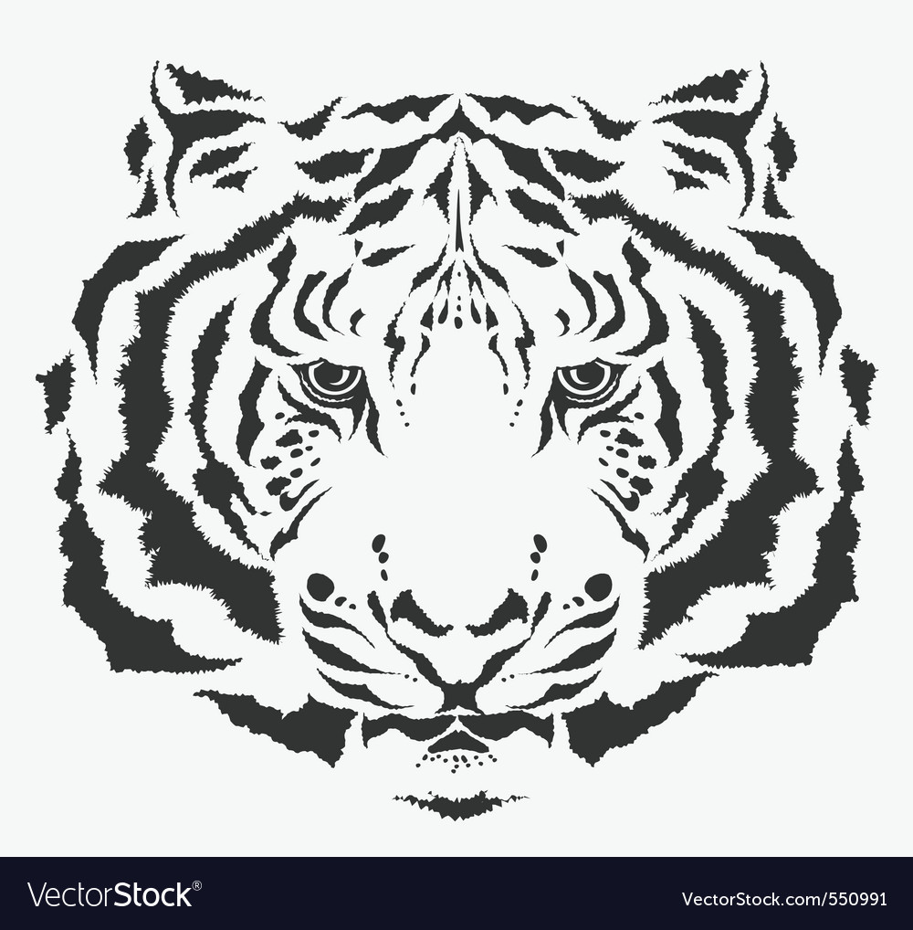 Tiger Royalty Free Vector Image - VectorStock
