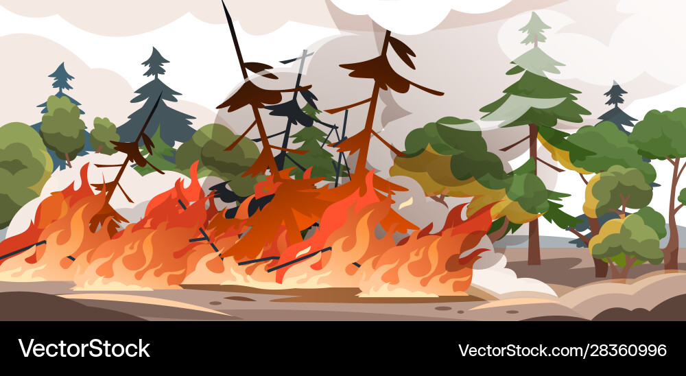 Forest fire burning spruces and oak trees wood Vector Image