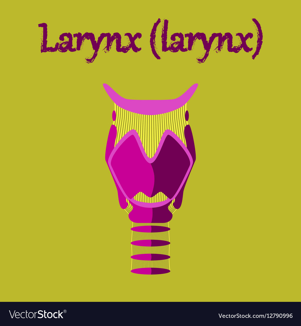 Human organ icon in flat style larynx Royalty Free Vector