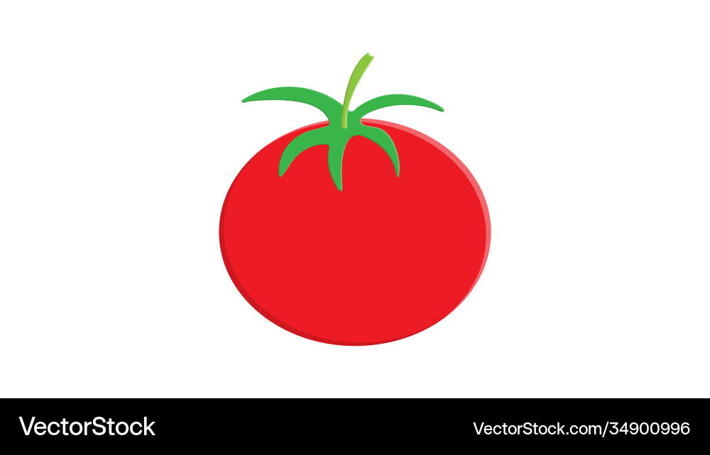 Red tomato clip art isolated on white background Vector Image