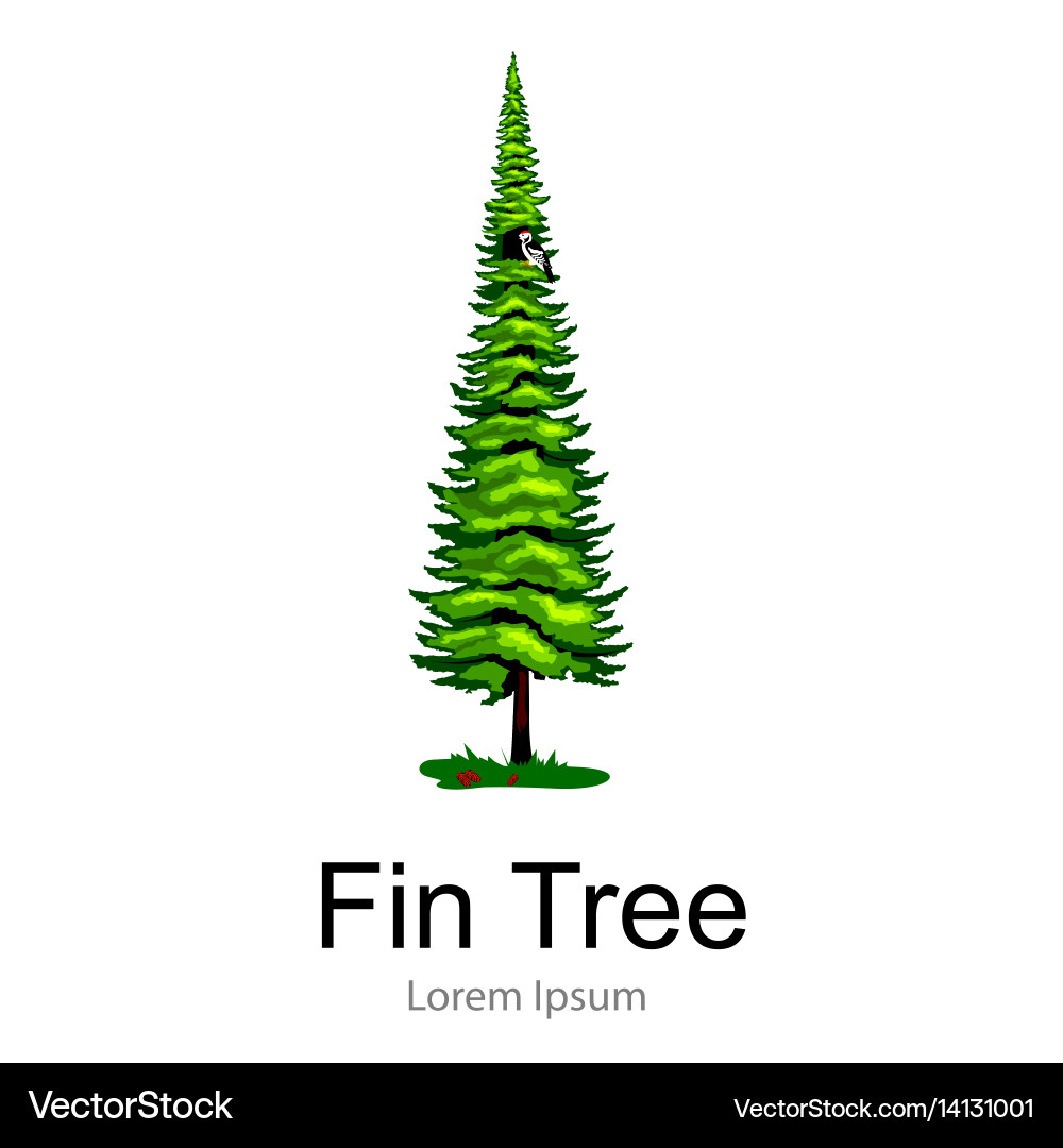 Cartoon isolated fin summer tree on a white Vector Image