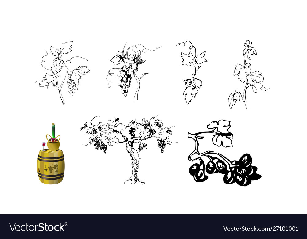Grape theme Royalty Free Vector Image - VectorStock