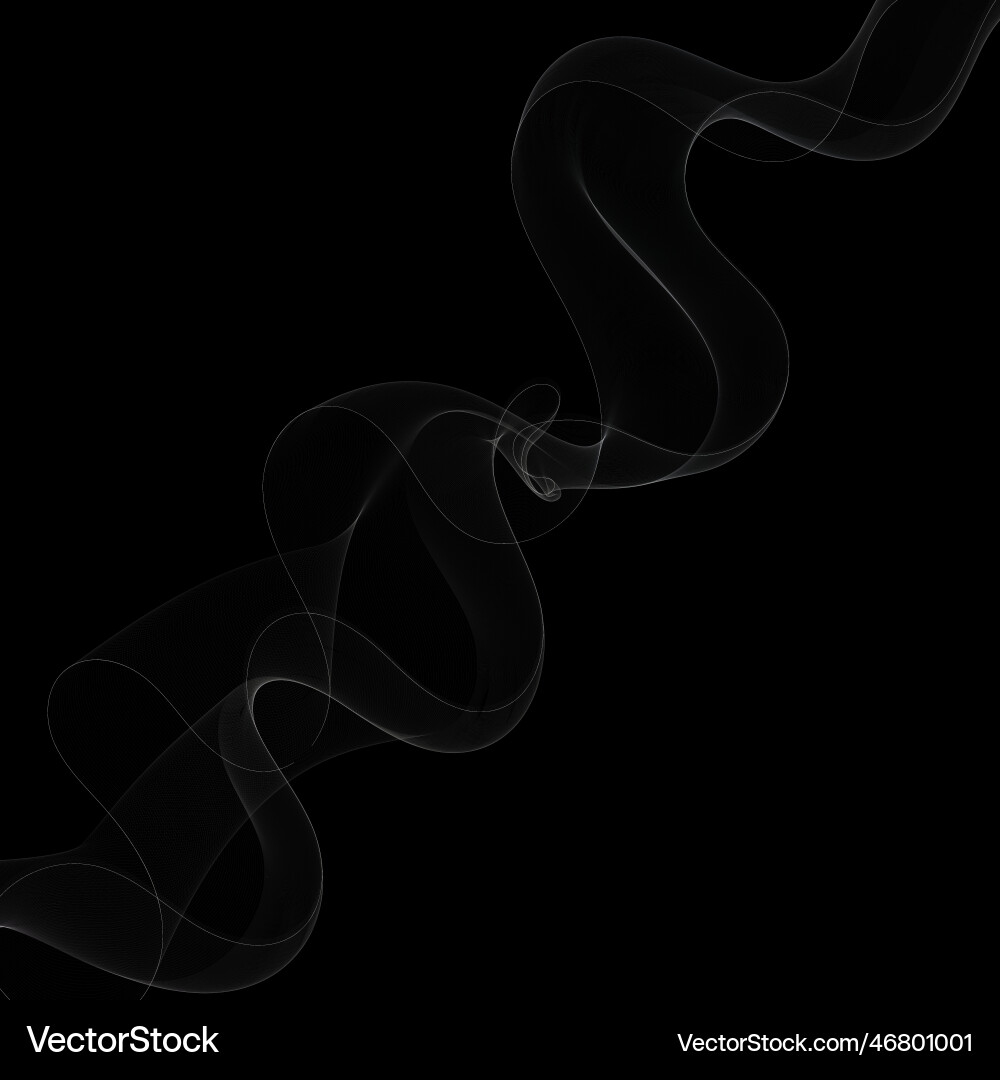 White smoky wave on a black background abstract Vector Image