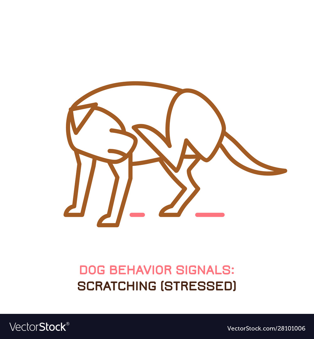 Dog behavior icon Royalty Free Vector Image - VectorStock