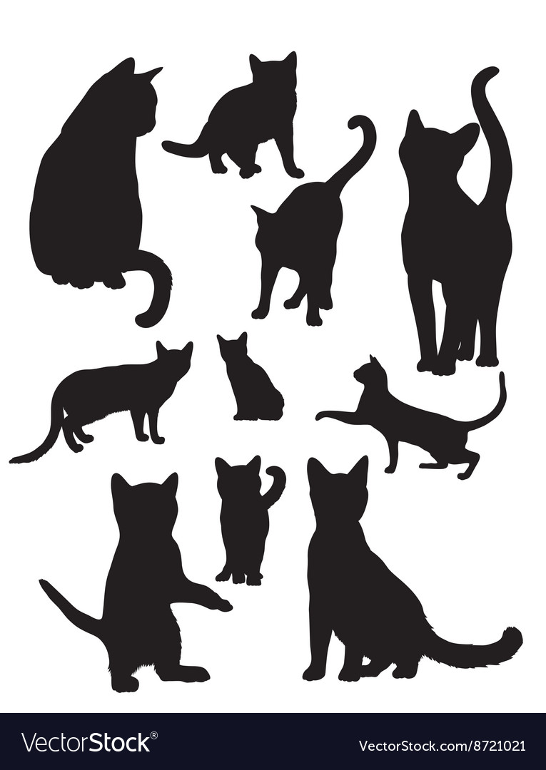 Cat Royalty Free Vector Image - VectorStock