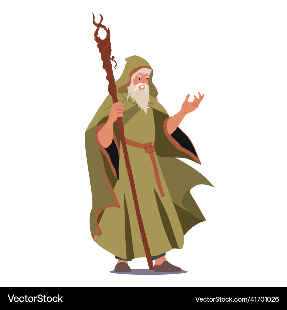 Fairy tale magician wizard character wear long Vector Image