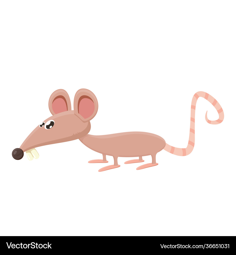 Cartoon funny mouse animal isolated Royalty Free Vector