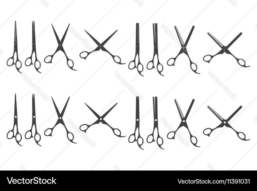 Professional barber scissors Royalty Free Vector Image