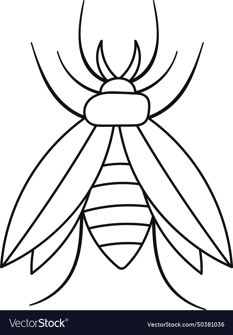 Fly insect lined Royalty Free Vector Image - VectorStock