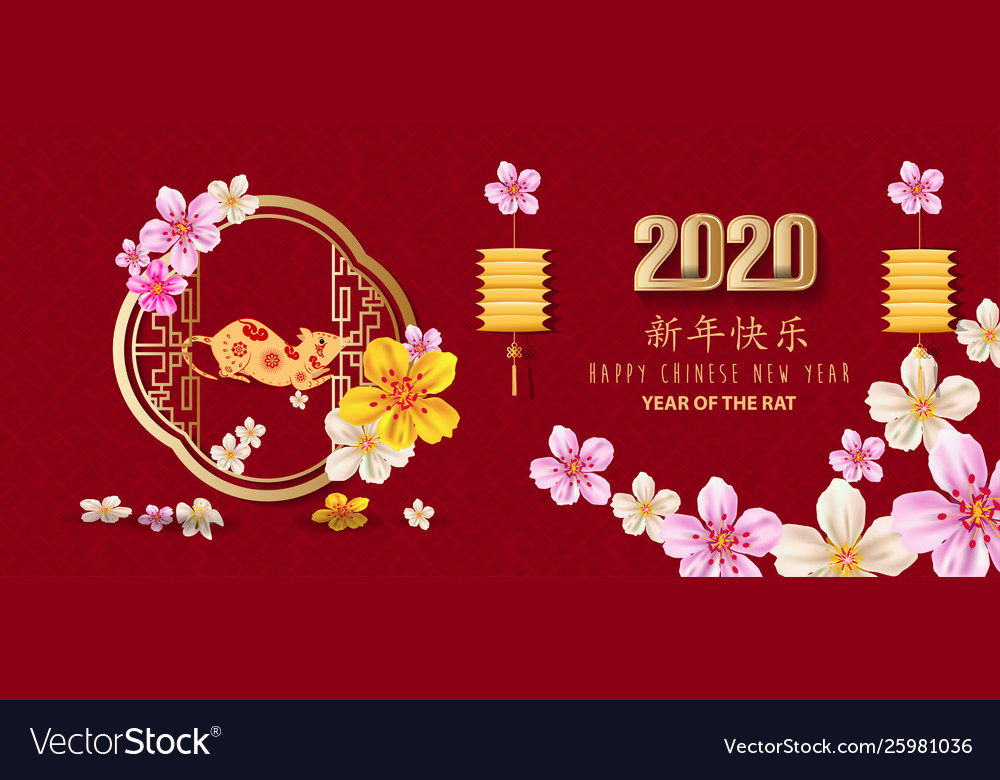 Happy chinese new year 2020 year Royalty Free Vector Image