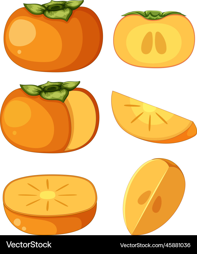 Persimmon in whole and sliced pieces Royalty Free Vector