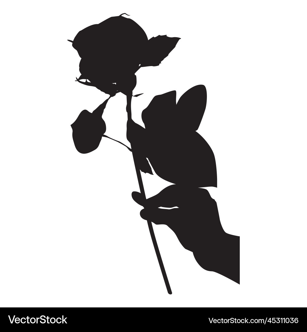 Rose flower in hand black silhouette Royalty Free Vector