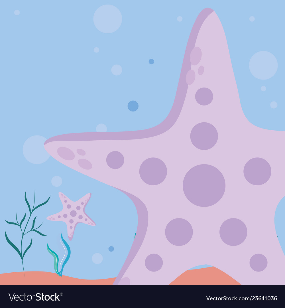 Sea star icon Royalty Free Vector Image - VectorStock