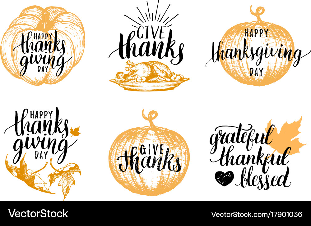 Thanksgiving lettering with sketches for Vector Image