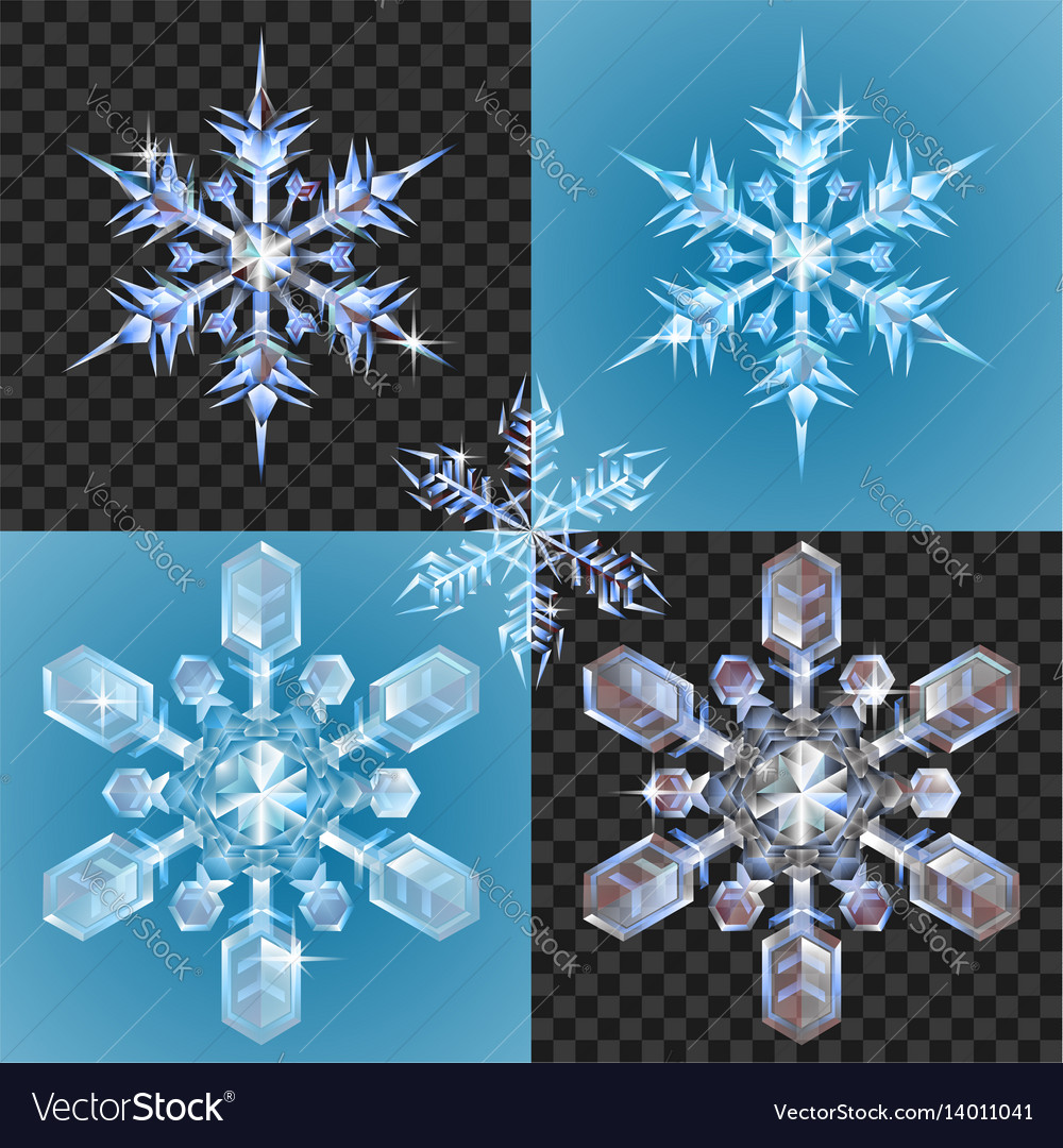 Christmas snowflake design elements Royalty Free Vector