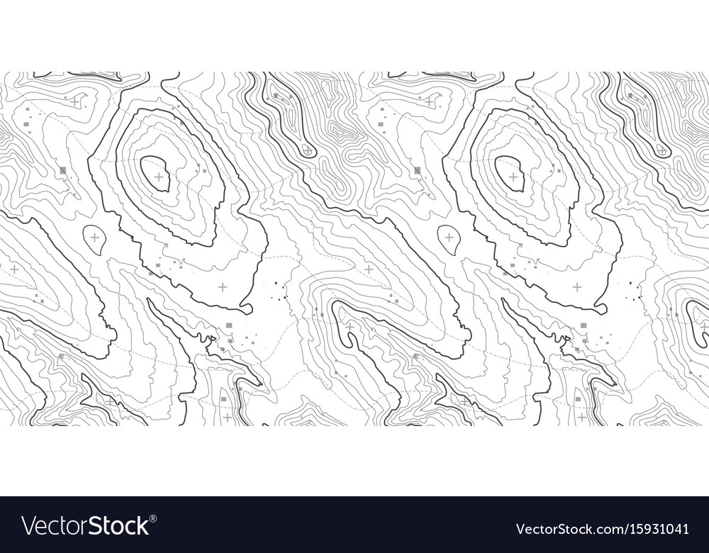 Seamless pattern topographic map background Vector Image