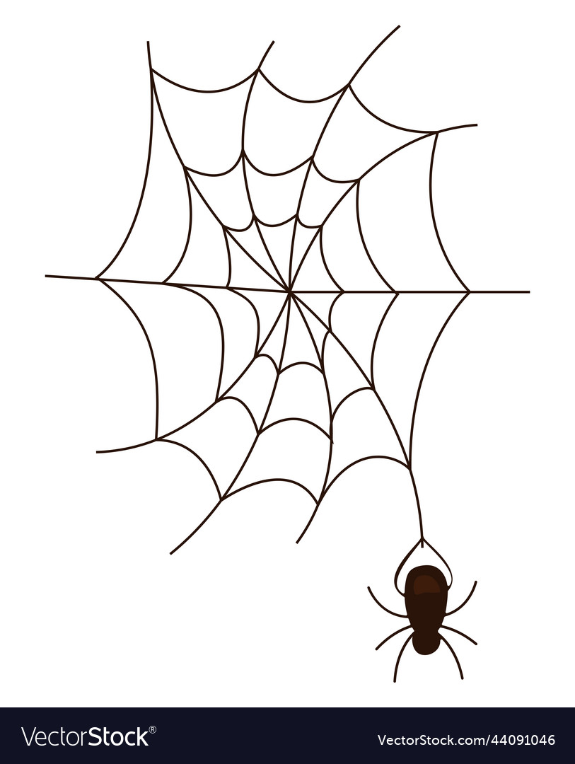 Halloween spider animal Royalty Free Vector Image
