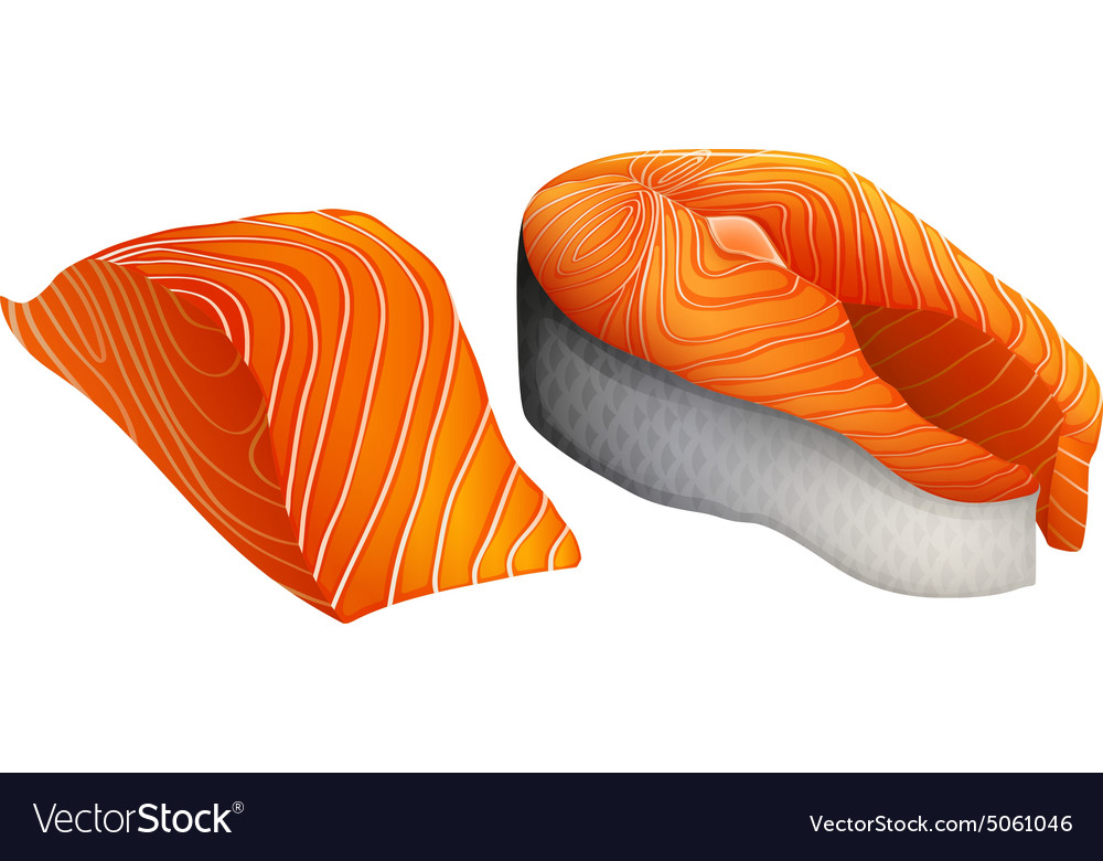 Salmon Royalty Free Vector Image - VectorStock