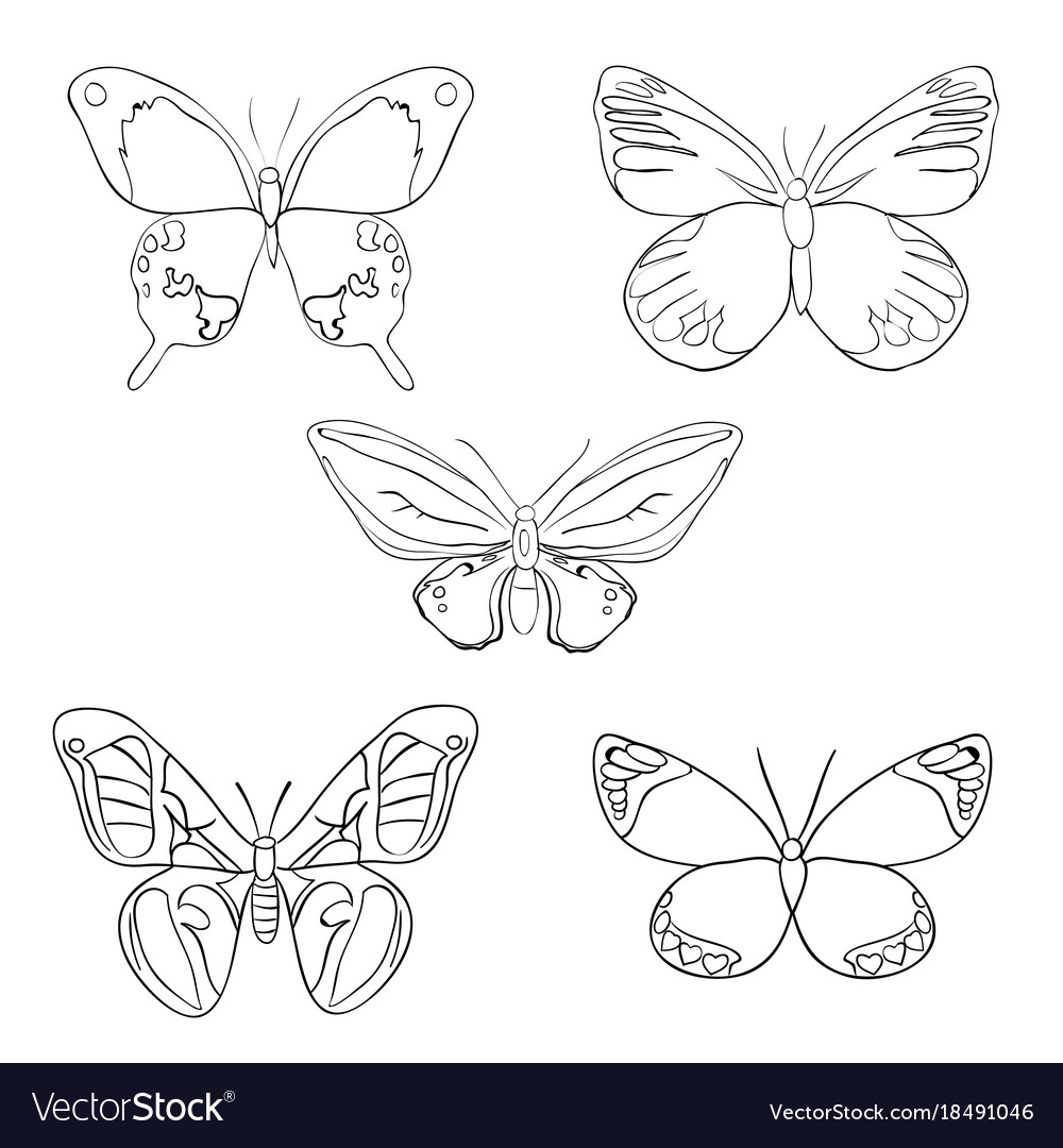 Set of sketches doodle butterflies Royalty Free Vector Image