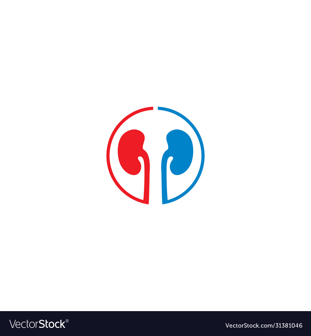 Urology logo kidney logo icon healthy Royalty Free Vector Urology logo kidney logo icon healthy Royalty Free Vector