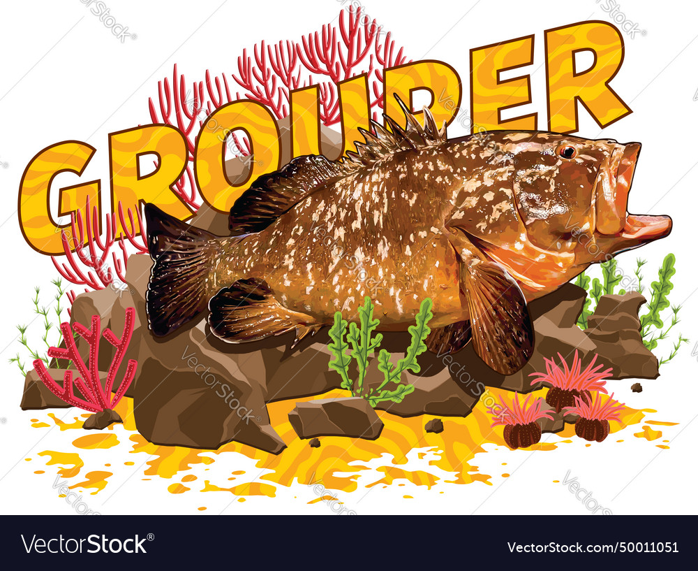 Dusky grouper fish Royalty Free Vector Image - VectorStock