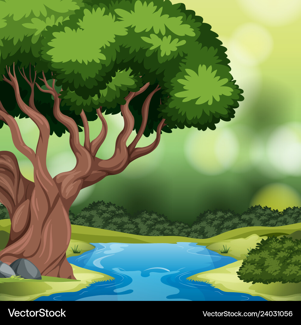 A Forest Background Scene Royalty Free Vector Image