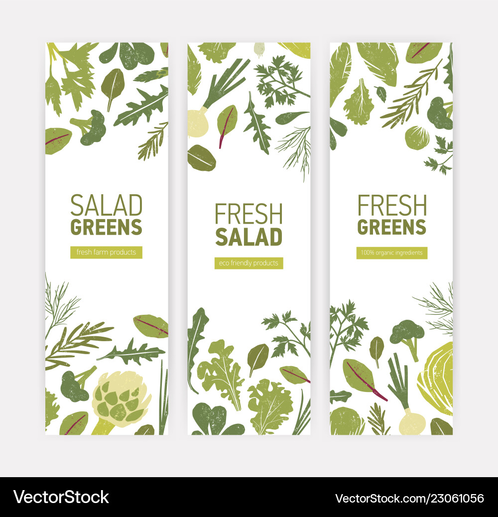 Bundle of vertical web banner templates with green