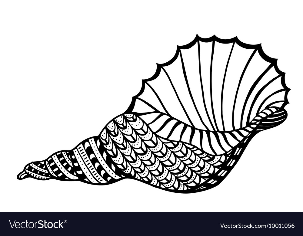 Entangle stylized shell Royalty Free Vector Image