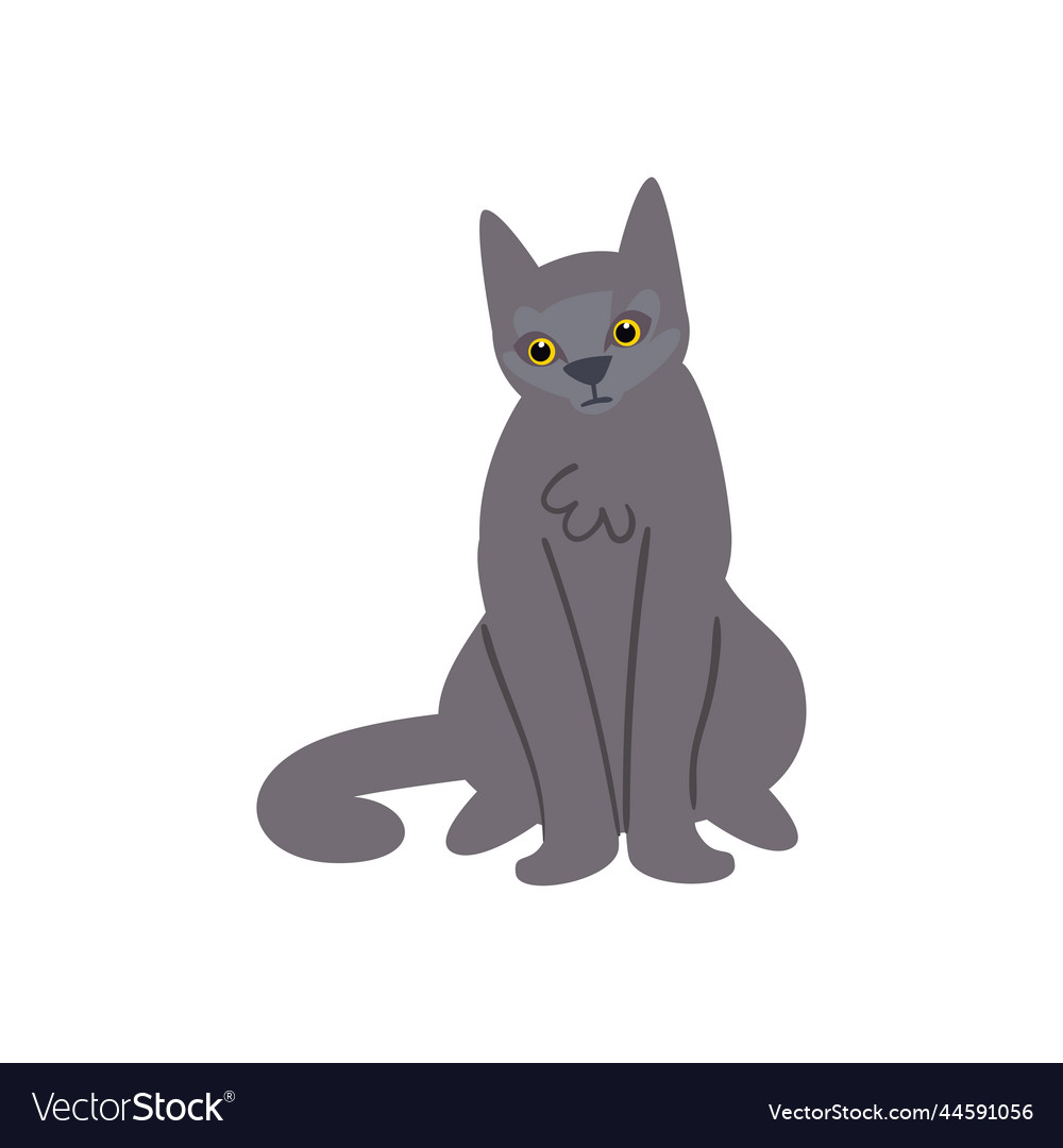 Flat gray cat Royalty Free Vector Image - VectorStock