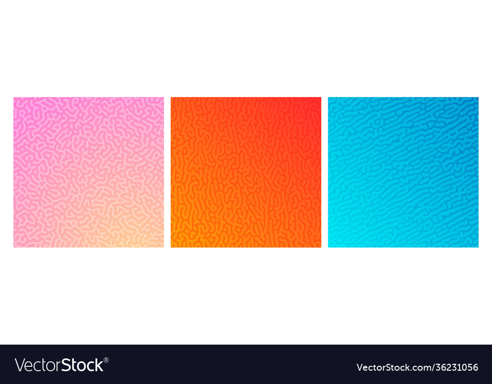 Set Three Colorful Turing Reaction Gradient Vector Image