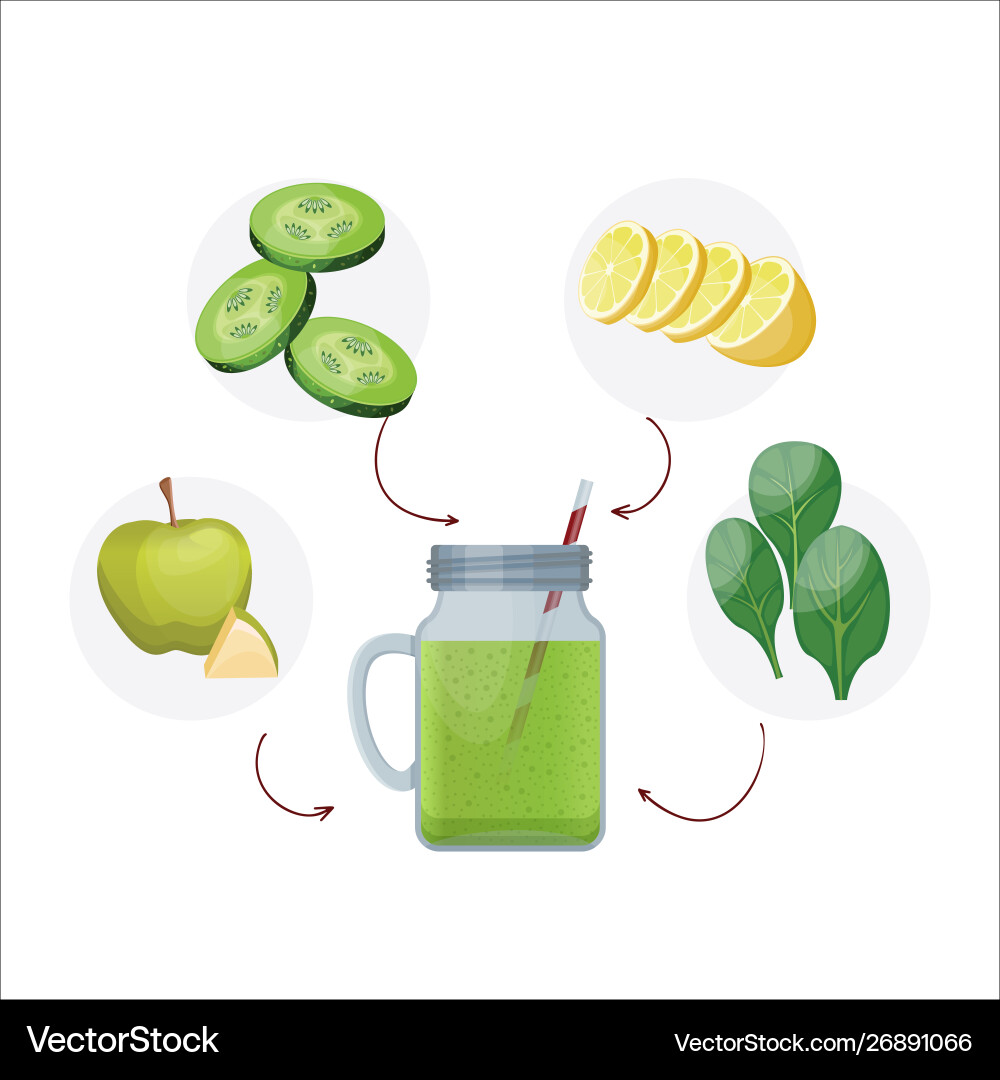 Detox cleanse drink concept vegetable smoothie Vector Image