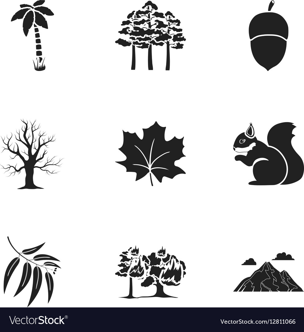 Forest set icons in black style big collection Vector Image