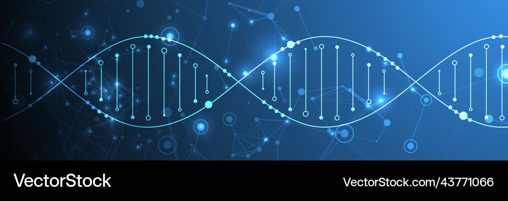 Science template wallpaper or banner with a dna Vector Image