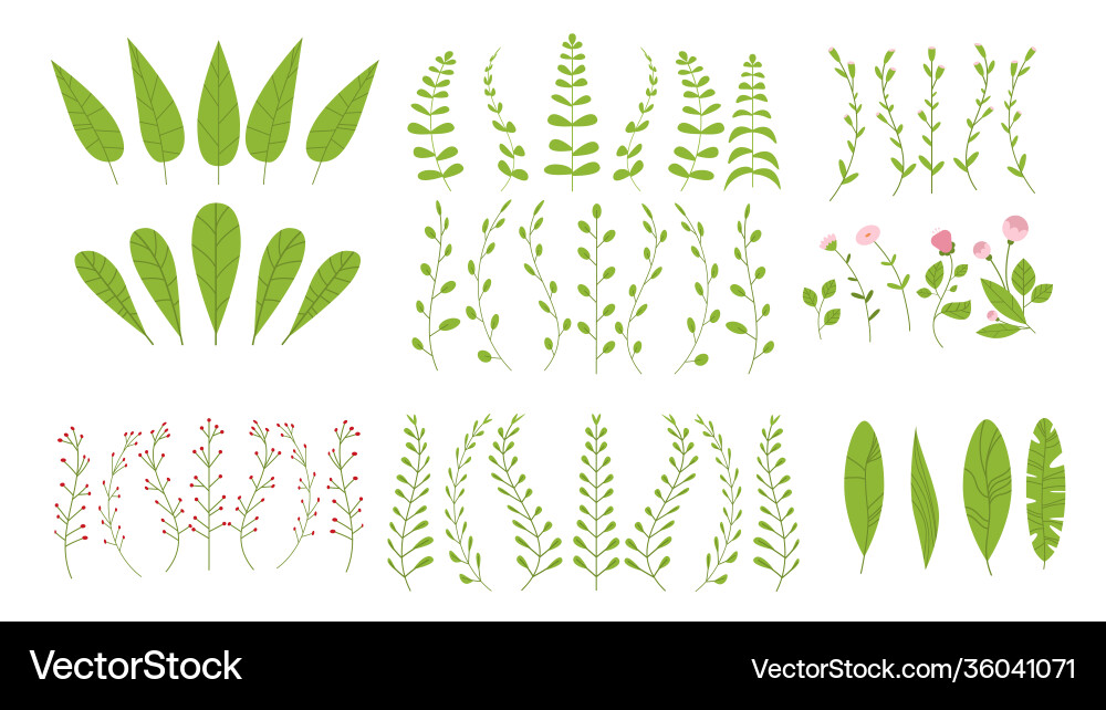 Botanical floral set green plants branches Vector Image