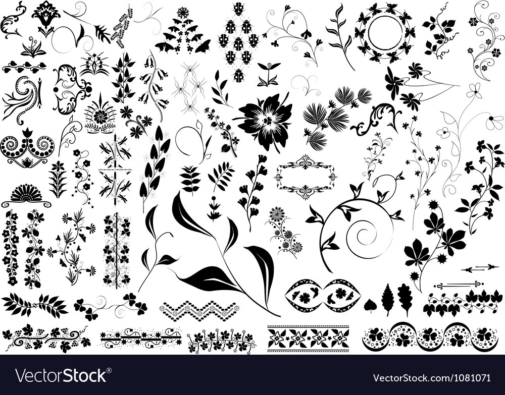 Design elements Royalty Free Vector Image - VectorStock