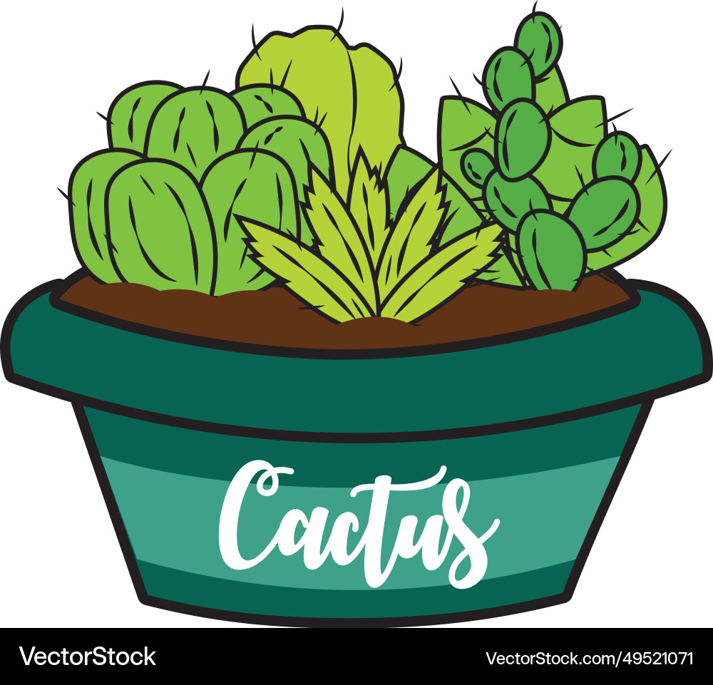 Group of different colored cactus on a pot Vector Image