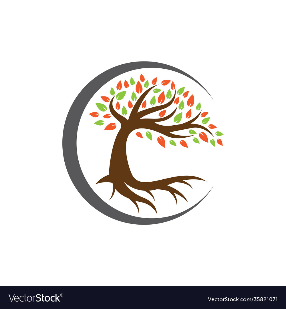 Tree symbol Royalty Free Vector Image - VectorStock