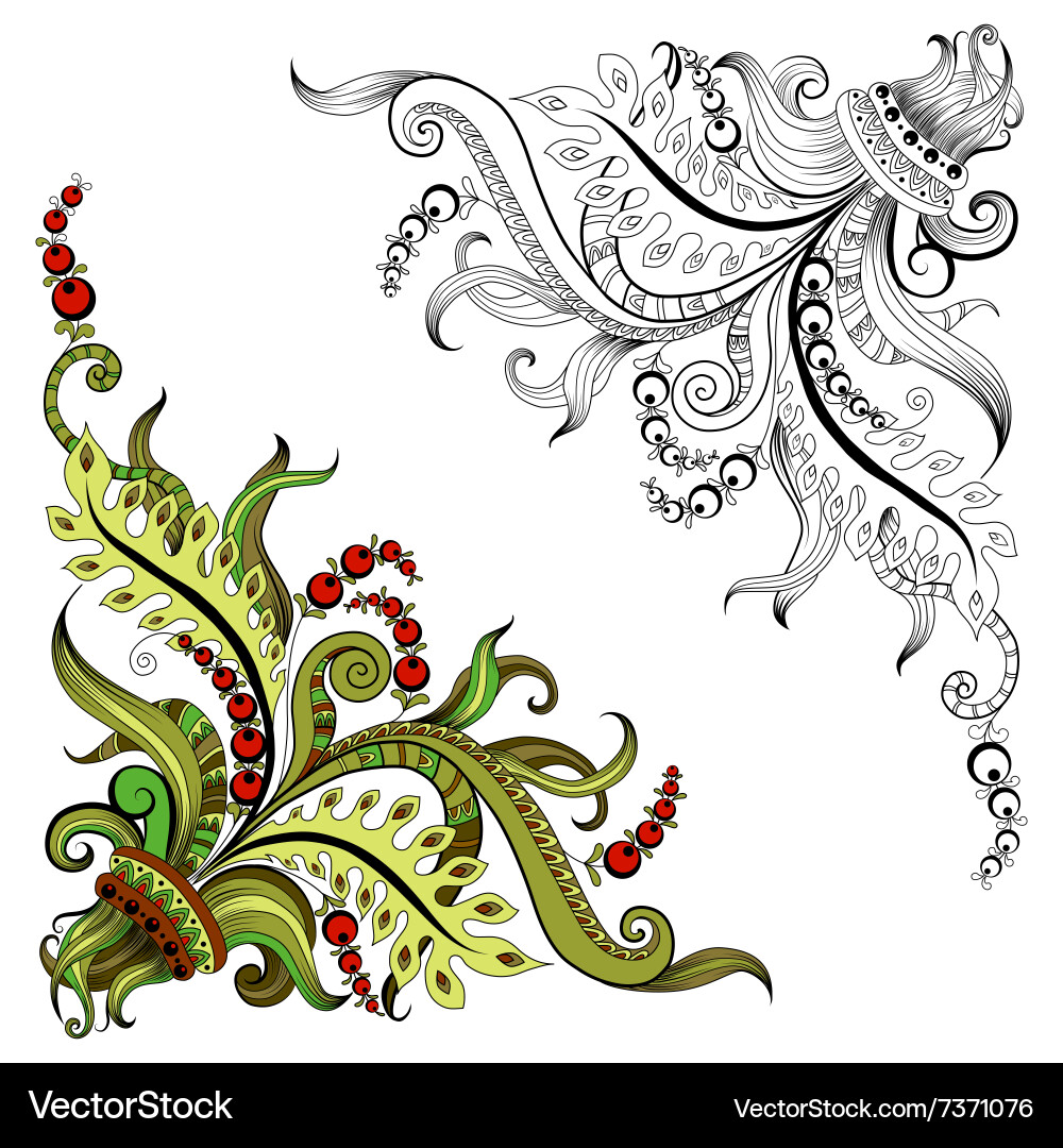 Sketchy doodles decorative floral outline Vector Image