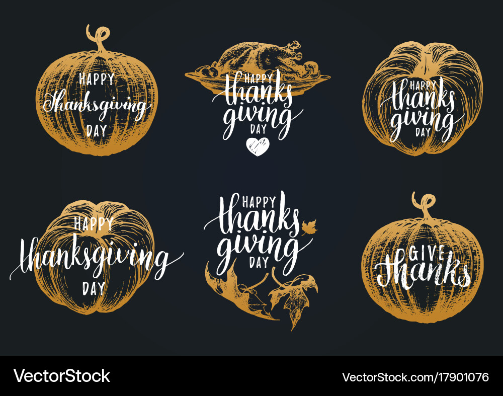 Thanksgiving lettering with sketches Royalty Free Vector