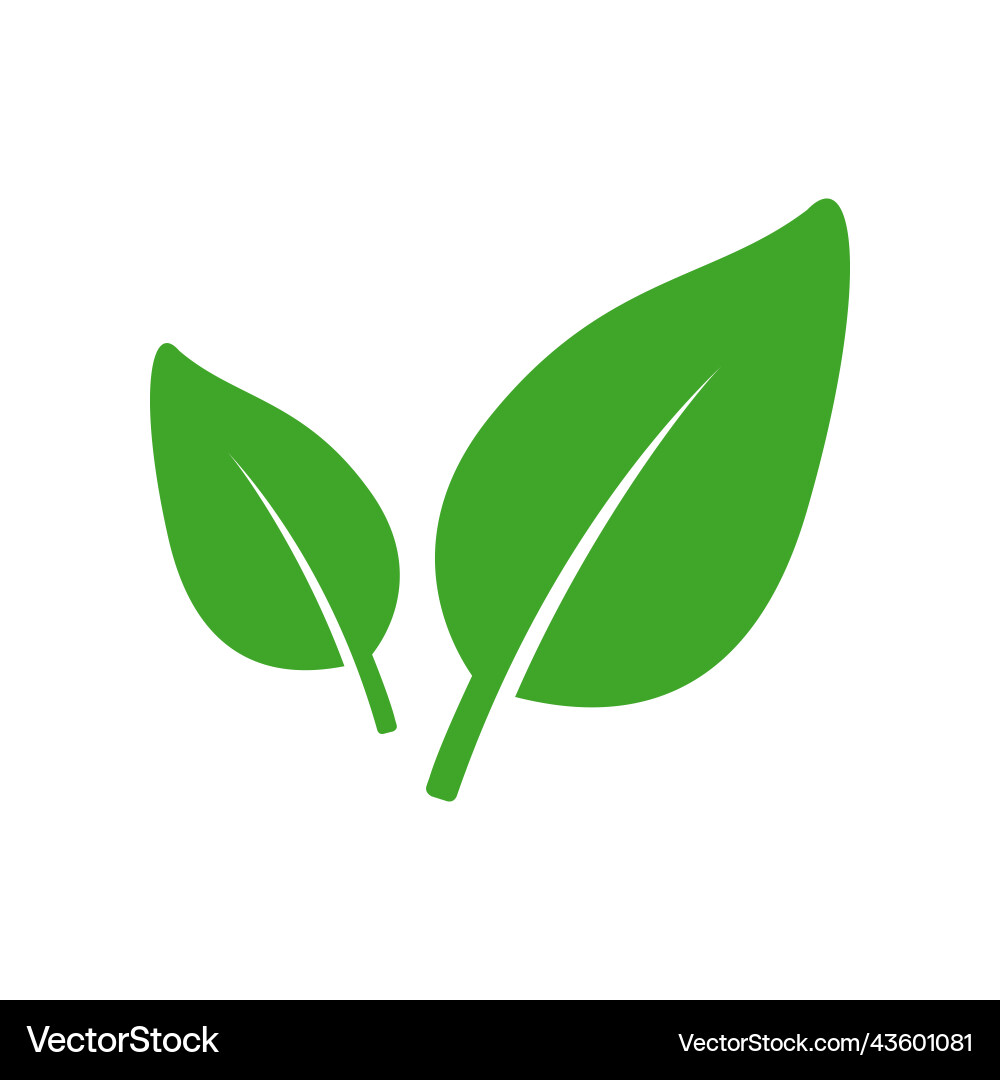 Eco leaf or organic product icon Royalty Free Vector Image